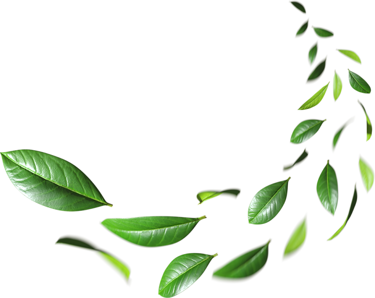 Moravka Pro – Lider u proizvodnji prehrambenih proizvoda.