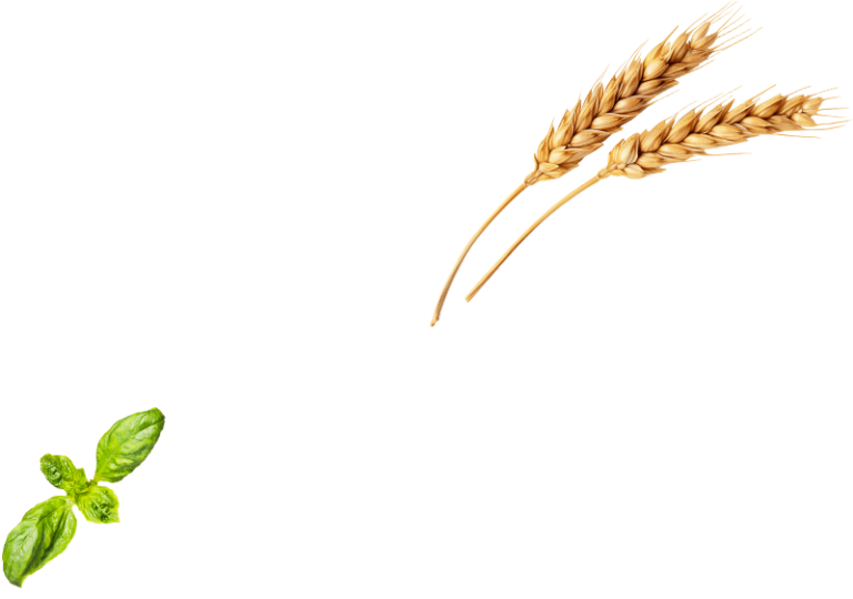 Moravka Pro – Lider u proizvodnji prehrambenih proizvoda.